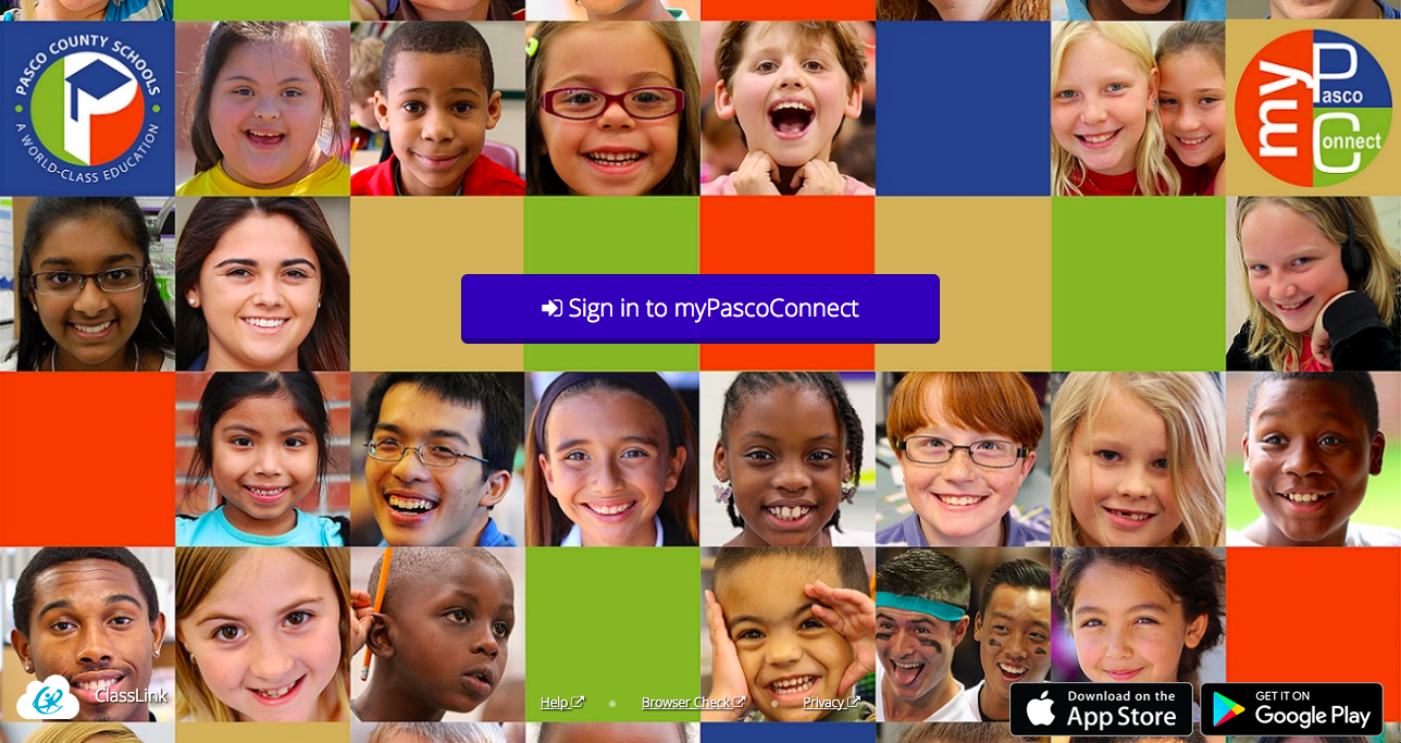 Sunshine State Junior Reader Books | First grade Crew