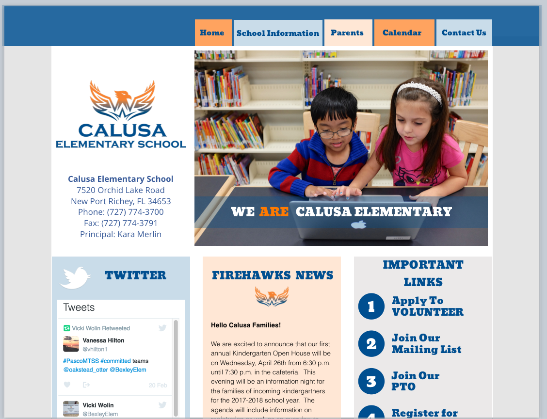 CAES Website Concepts Preview | Web Development Information